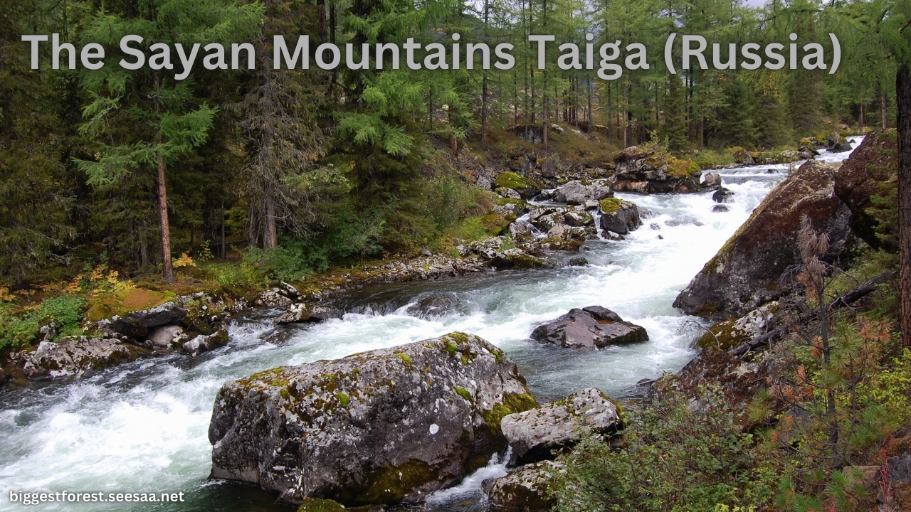 The Sayan Mountains Taiga (Russia): Exploring Earth's Largest Forest